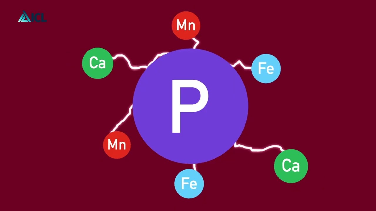 Nova RoBoost™: The Future of Root Nutrition Starts Here