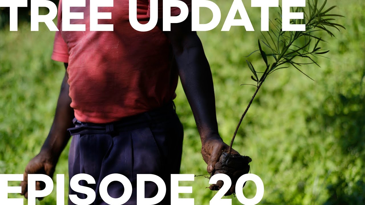 Tree Update Episode 20