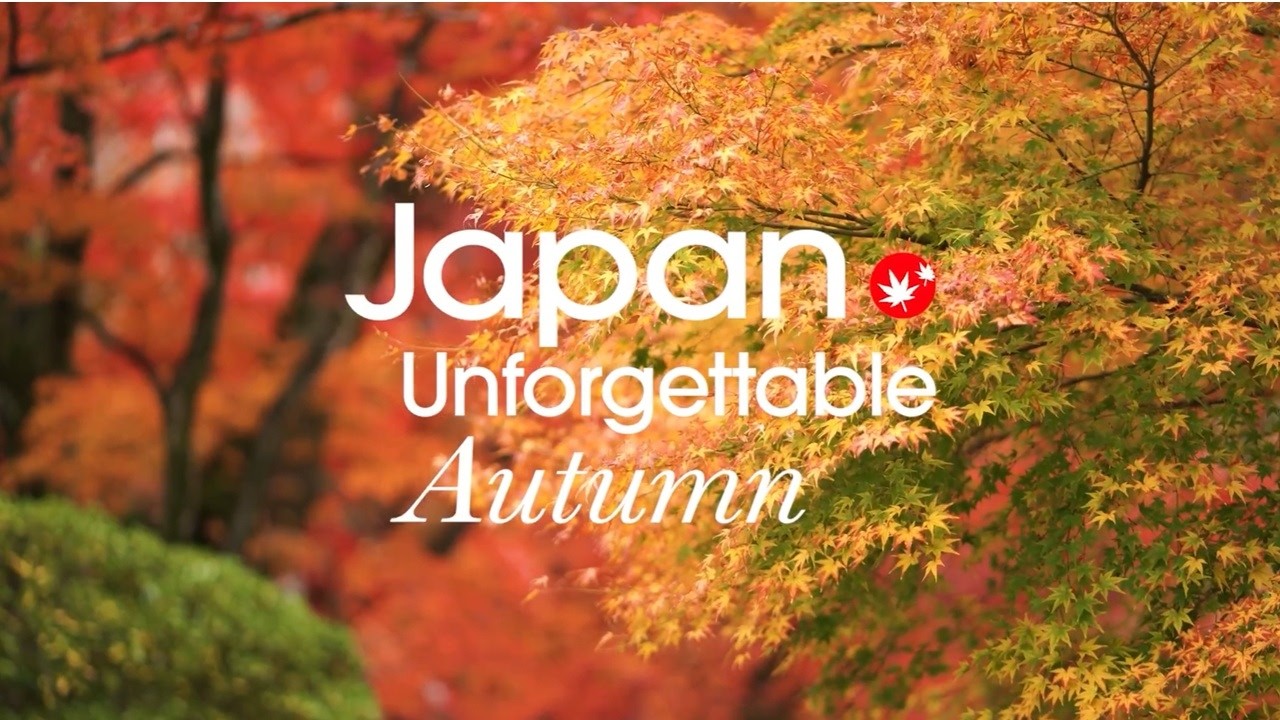 Japan. Unforgettable Autumn Travel in JAPAN｜English Ver.｜JNTO