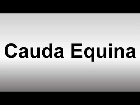 How to Pronounce Cauda Equina