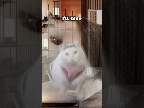CAT MEME: Huh.