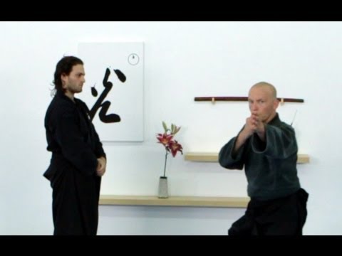 Ninjutsu combat stances - Kamae | AKBAN