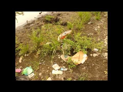 Habitat Degradation