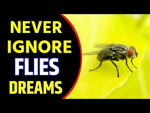 What does Flies Dream Meaning | Dreaming of Flies | Flies Dream Interpretation