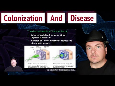 When Colonization Leads to Disease