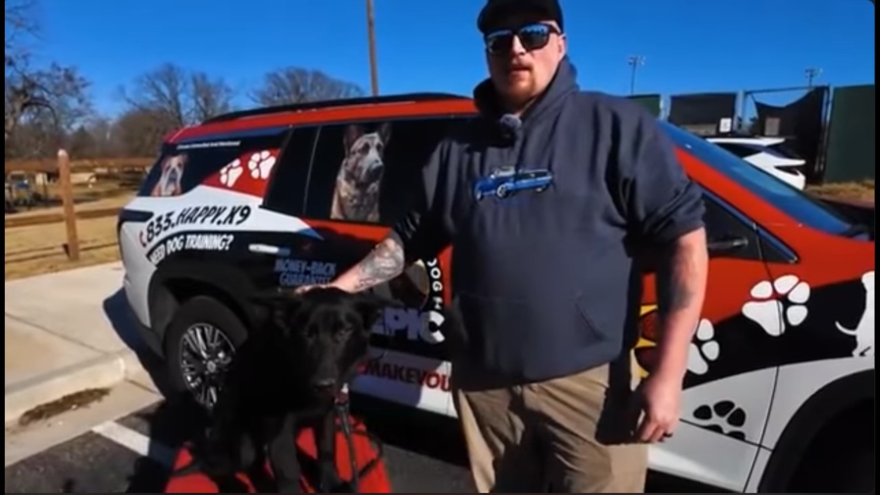 Dog Trainers Tulsa | 