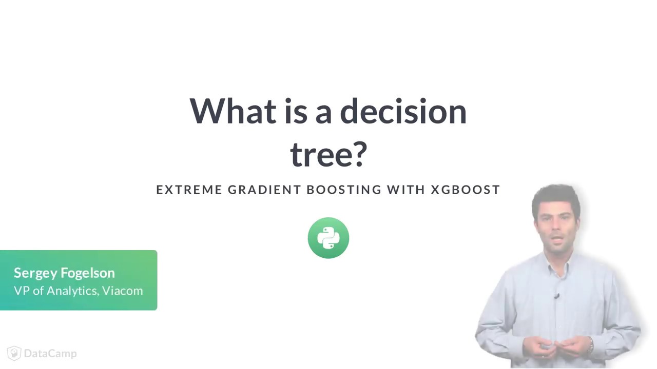 Python Tutorial : What is a decision tree?