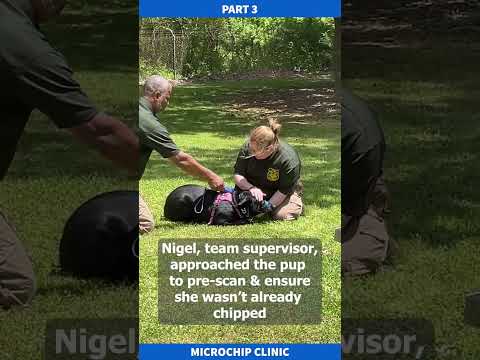 Animal control officer gets dog's trust