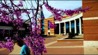 Faith & Service | Undergraduate Admissions | Baylor University