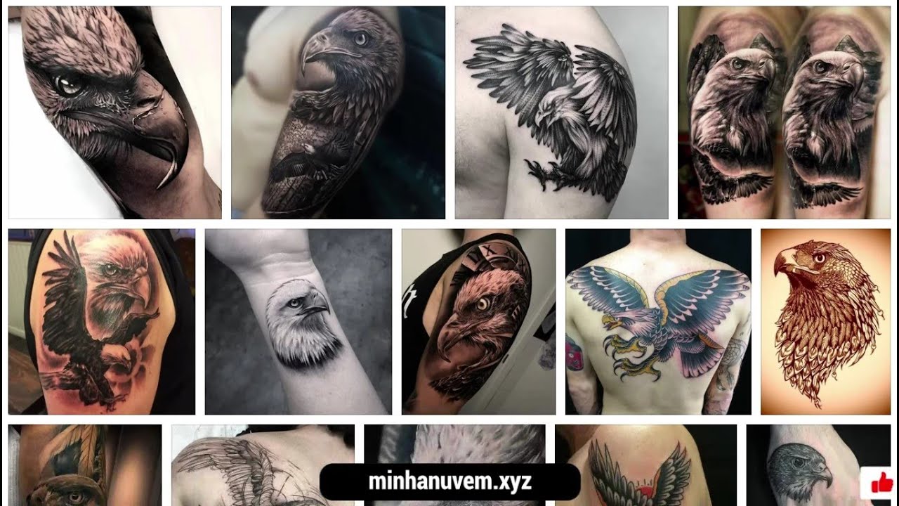 Tatuagem de Águia Feminina e Masculina - 357 Ideias Extraordinárias