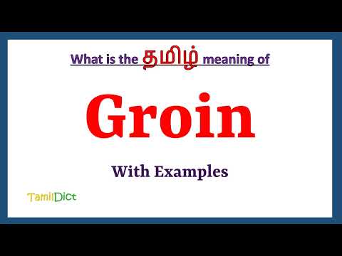 Groin Meaning in Tamil | Groin in Tamil | Groin in Tamil Dictionary |