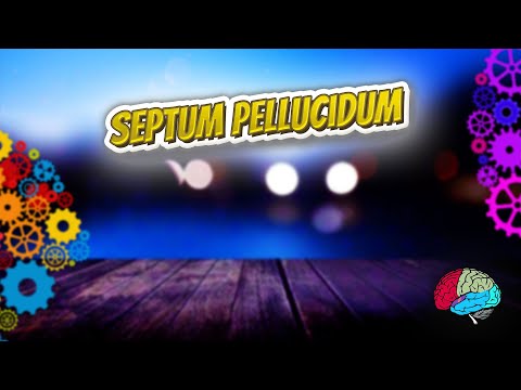 Septum pellucidum - Know It ALL 🔊✅