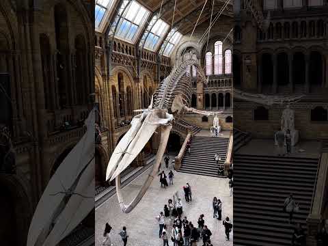 London National History Museum
