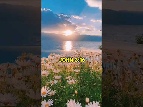 Powerful Bible Verse Of The Day: John 3:16 ✝️🥹 #BibleVerse #bibleverseoftheday #John3:16