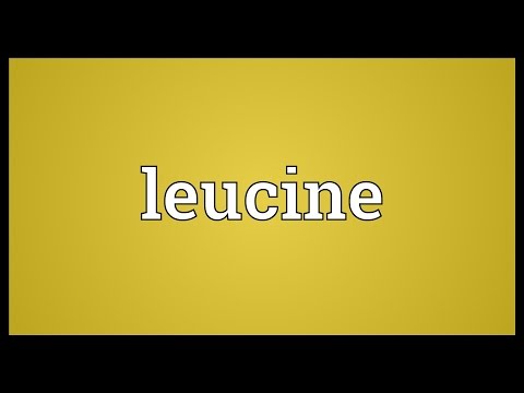 Leucine Meaning