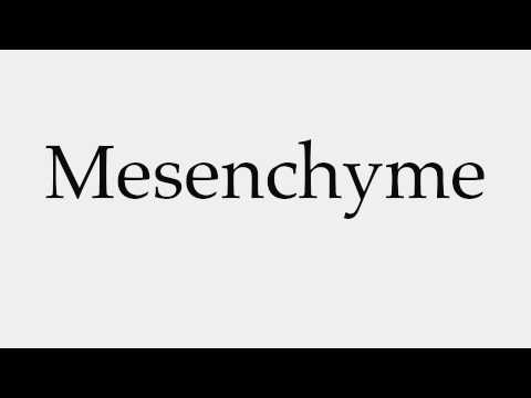 How to Pronounce Mesenchyme
