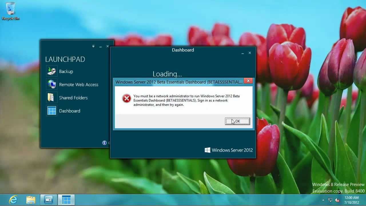 Windows Server 2012 Beta Essentials works fine with both Domains and Workgroups