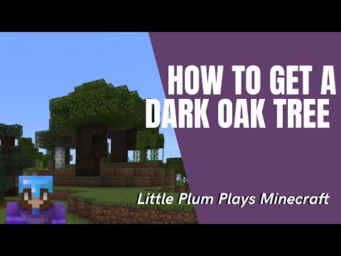 How to Get Dark Oak Trees in Minecraft