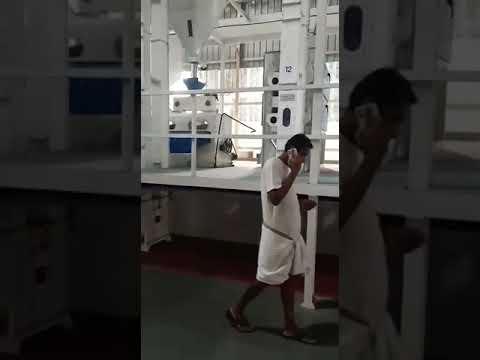 Rice Cleaning Machine at Best Price in India