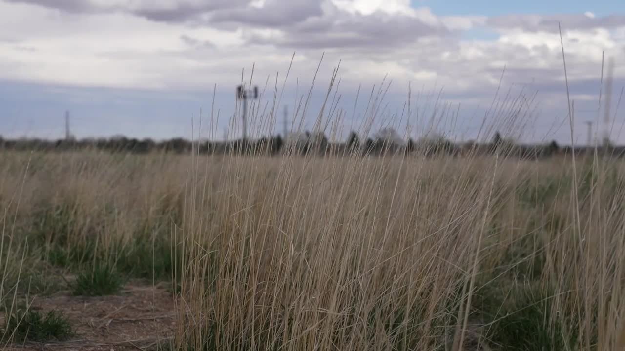 Panel of Fort Collins residents to decide future of former Hughes Stadium site