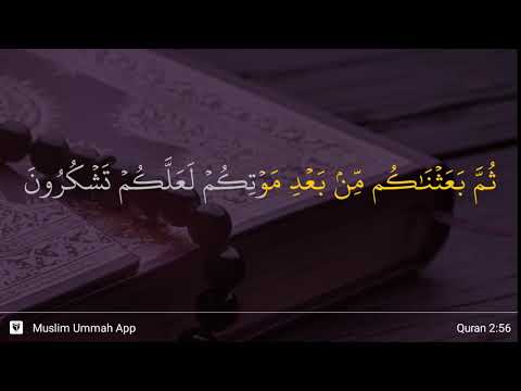 Al-Baqarah ayat 56