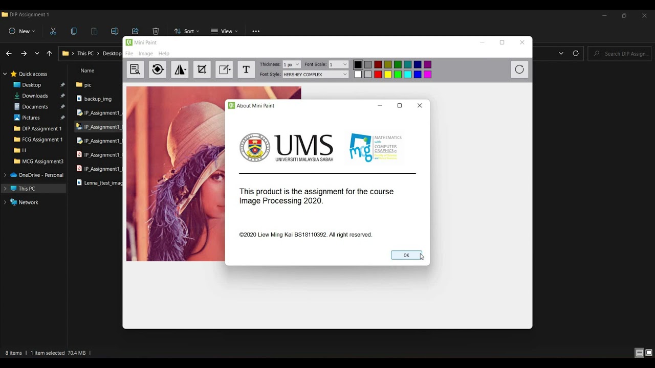 MiniPaint | Python | OpenCV | Image Editor