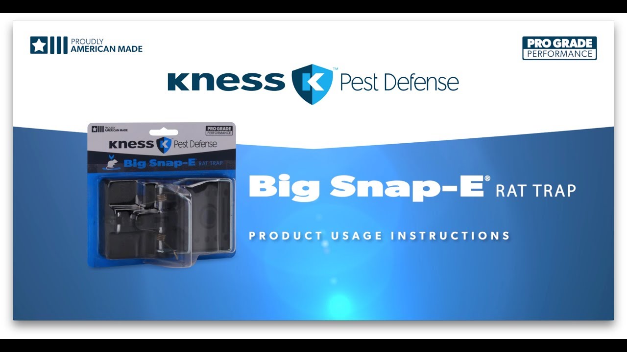 How to Set a Big Snap-E® Rat Trap
