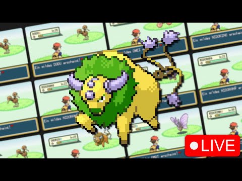 12x Shinyhunting for Safari Tauros in Pokemon!