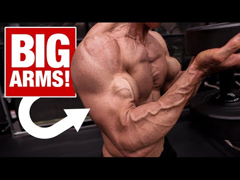 Arm Workout with JUST Dumbbells (GET BIG ARMS!)