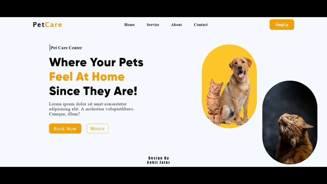 How to build petcare website design using html And css complete tutorial for begginers