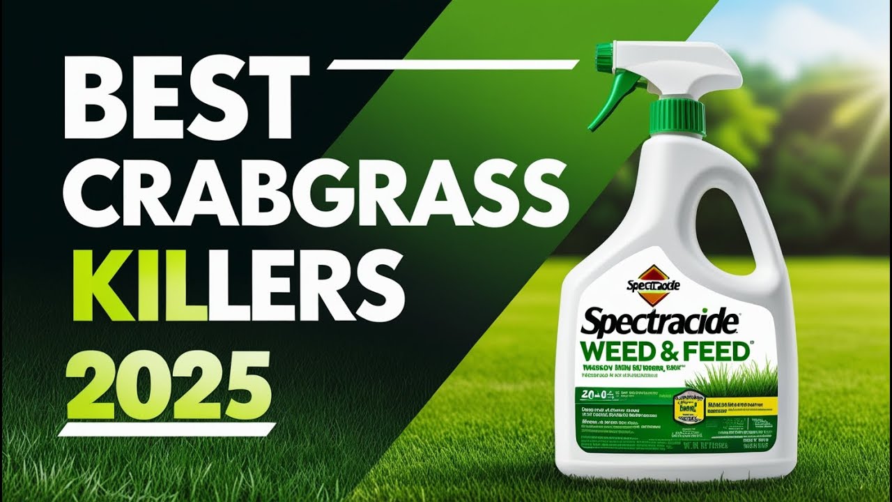 Best Crabgrass Killer in 2025 - Top 5 Crabgrass Killers Review