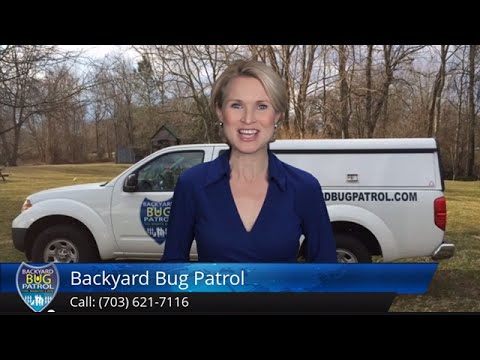 Mosquito Control Silver Spring MD – Backyard Bug Patrol | Ken Wehr