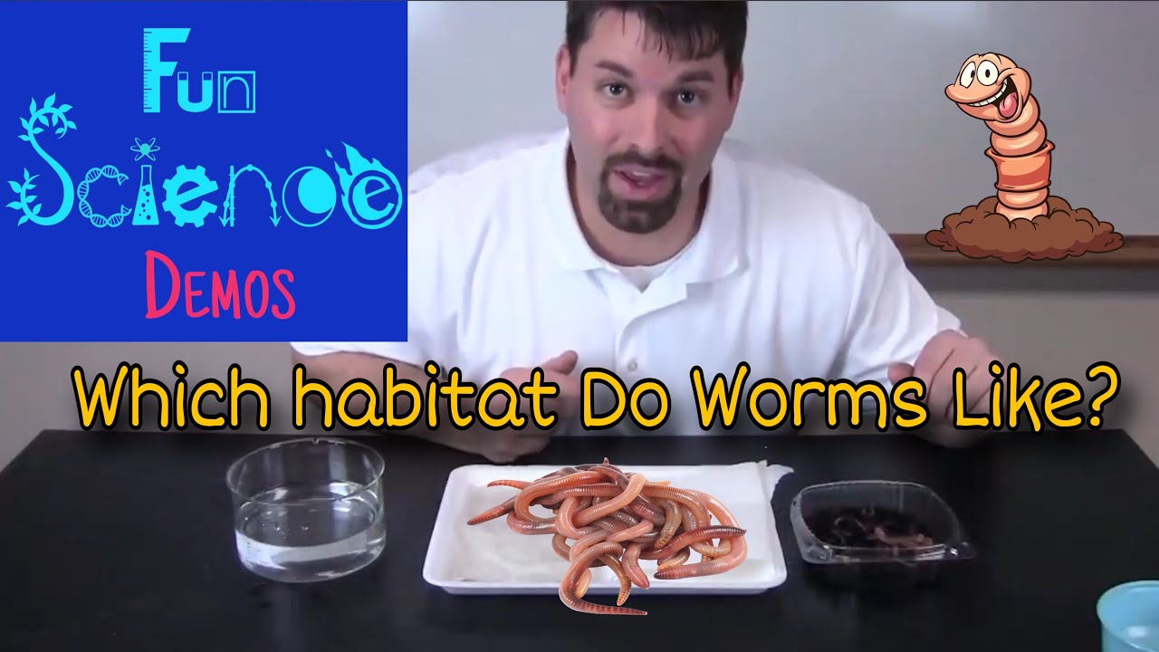 Which Habitat Do Worms Like?