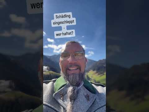 Pächter schleppt Schädling ein - wer haftet? #pachtvertrag #pacht #landwirtschaft #rechtsanwalt