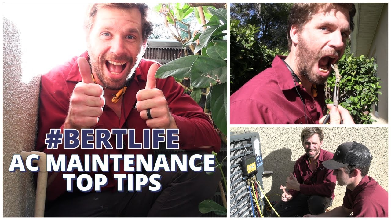 AC Maintenance Top Tips #BertLife