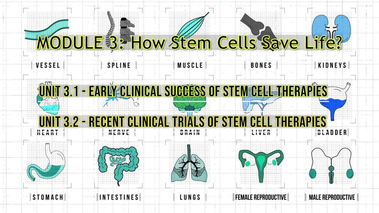 INTRODUCTION TO STEM CELLS AND THEIR CLINICAL APPLICATIONS | Learning ...