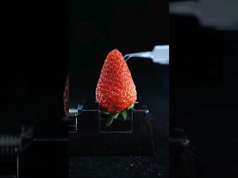 Macro sleep aid Ultra-close photography, picking strawberry seeds #sleep #asmr #reels #viral