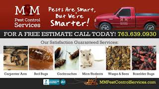 3 Best Pest Control Companies in Plano, TX - Expert Recommendations
