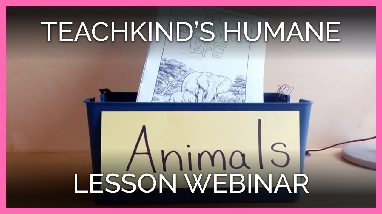 TeachKind’s Humane Lesson Webinar