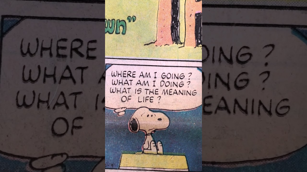 Snoopy Can't Sleep! Peanuts Comic Strip from February 9, 1975 | CollectPeanuts.com