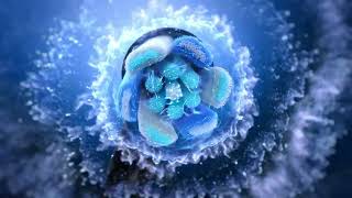 Oral-B Cepillo de dientes eléctrico Oral-B iO 3 es