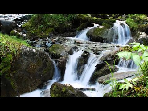 American Sign Language ASL Video Dictionary - creek
