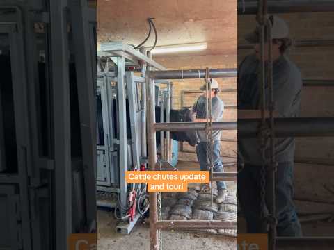 Cattle Chutes Update & Tour! #cattleranch #farming #ranching #agriculture