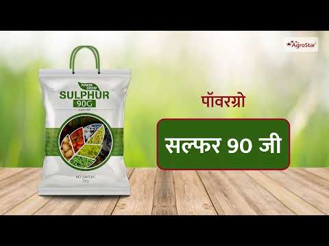 Sulphur Powder - Sulphur Dust Latest Price, Manufacturers & Suppliers