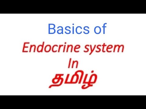 Endocrine system definition in தமிழ் / Endocrine glands in தமிழ்