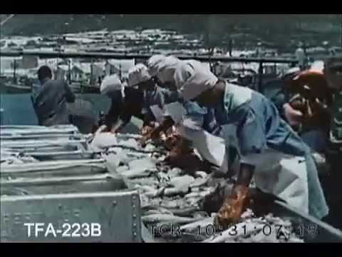 The Cape of Good Hope (1960s)