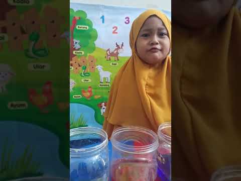EKSPERIMEN KAPILARITAS || KAPILARITAS DARI SAYUR || KAPILARITAS SAYUR SAWI PUTIH