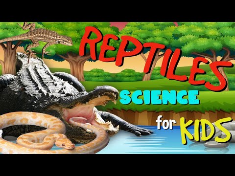 Reptiles | Science for Kids