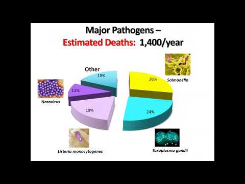 Types of Foodborne Hazards