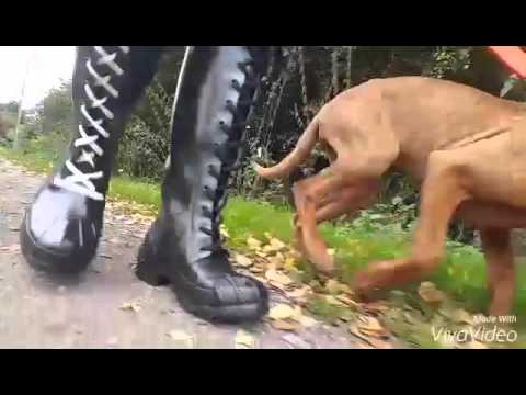 fiona.reviews.. Rockfish wellies